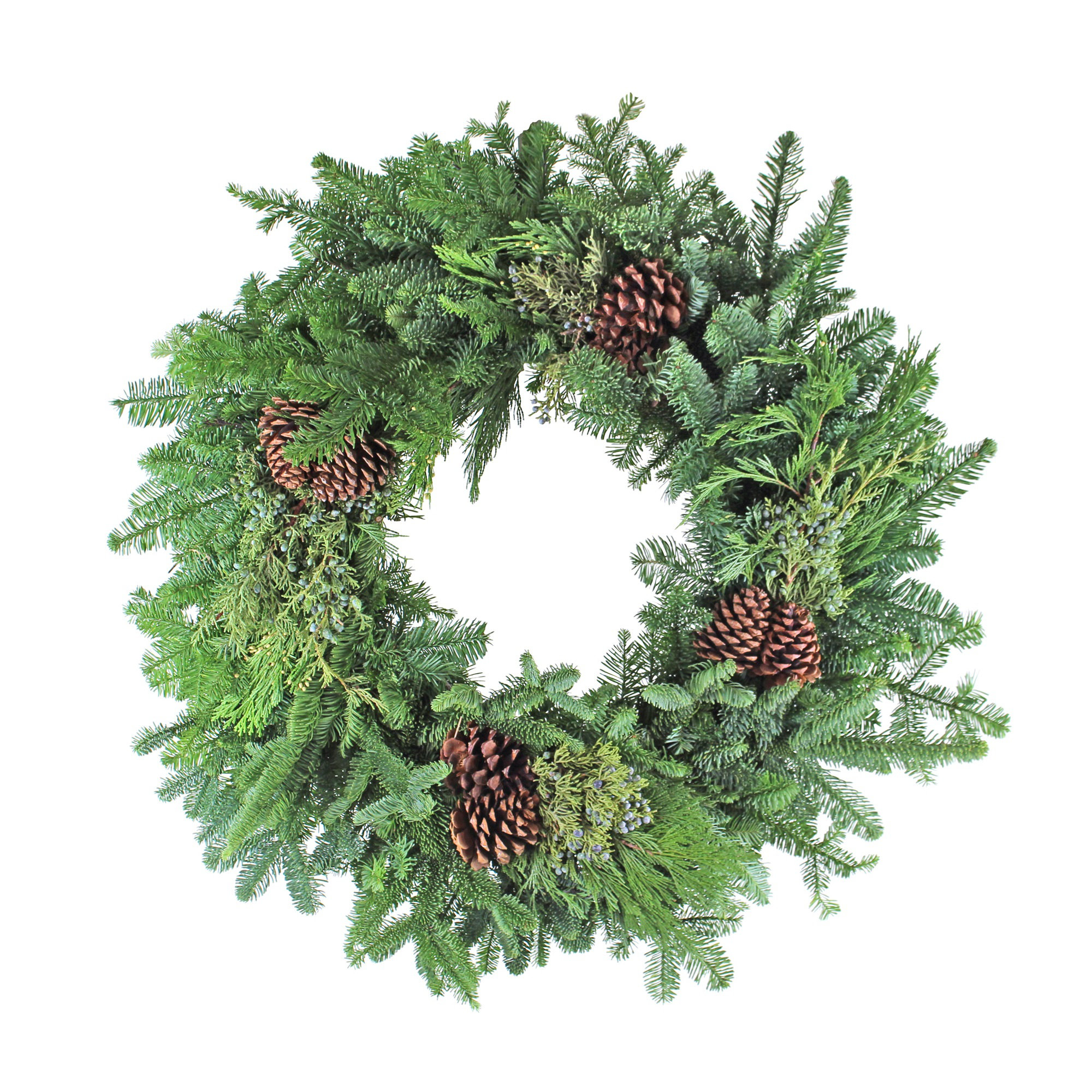 Primrue Fresh Christmas Noble Mixed 30" Greenery Wreath | Wayfair