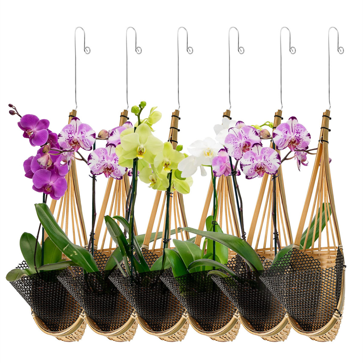 Bay Isle Home™ Metal Hook Bird Nest Style Plant Hangers For Trellis ...