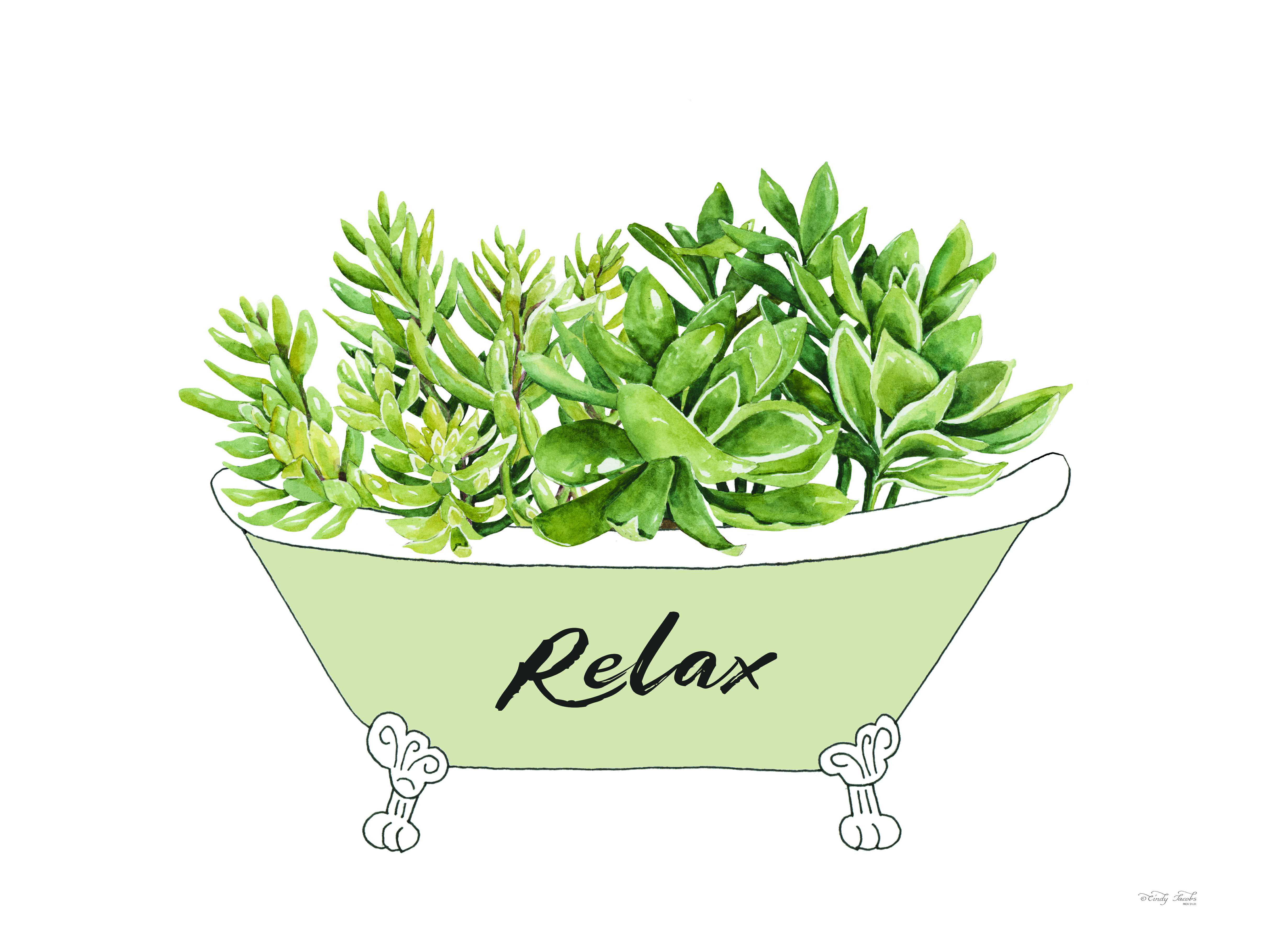 Winston Porter Succulent Tub by Cindy Jacobs - Wrapped Canvas Print ...