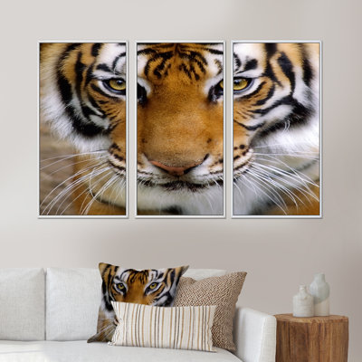 multi tiger framed art
