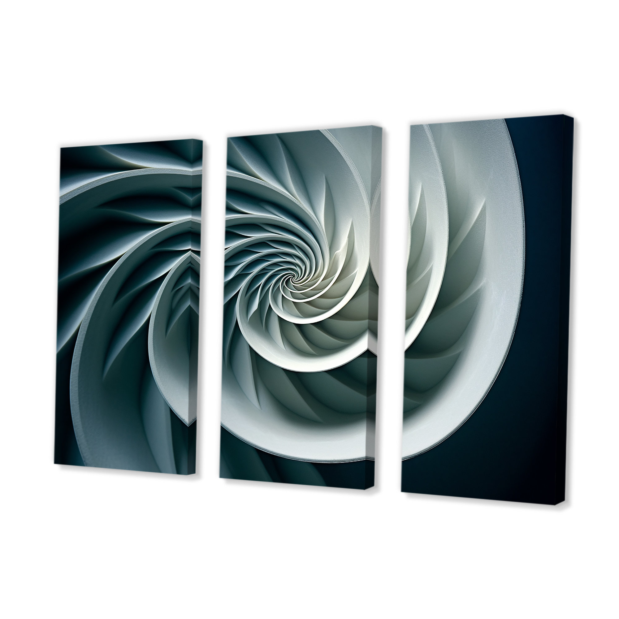 Ivy Bronx Turquoise Twirl Shell Fish Spiral - Nautilus Wall Decor Set ...