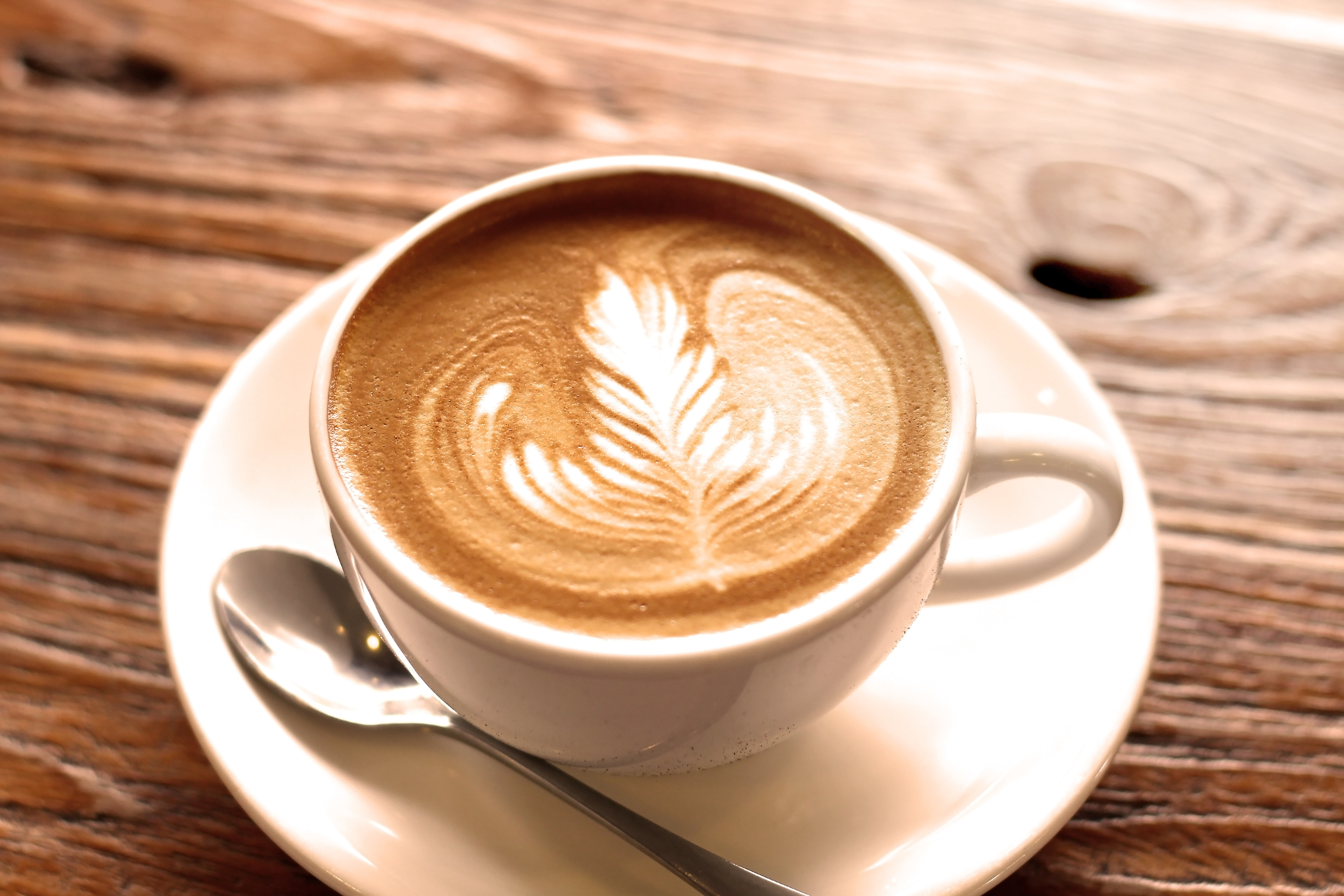 Winston Porter Coffee by Bookybuggy - Wrapped Canvas Photograph | Wayfair