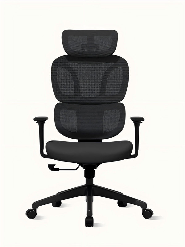 Wrought Studio™ Ergonomic Mesh Task Chair, High Back Office Chair with ...