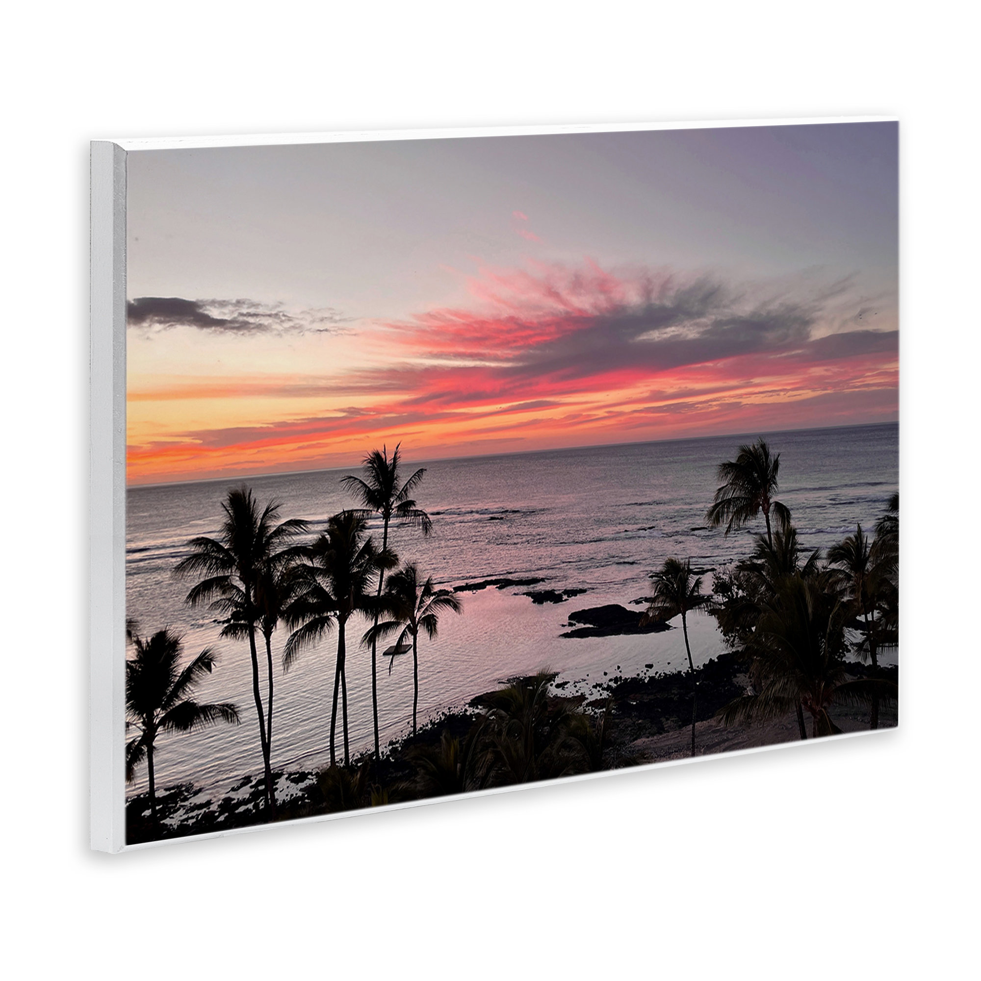 Stupell Industries Fierce Sunset View Wall Plaque Art by Kathy ...