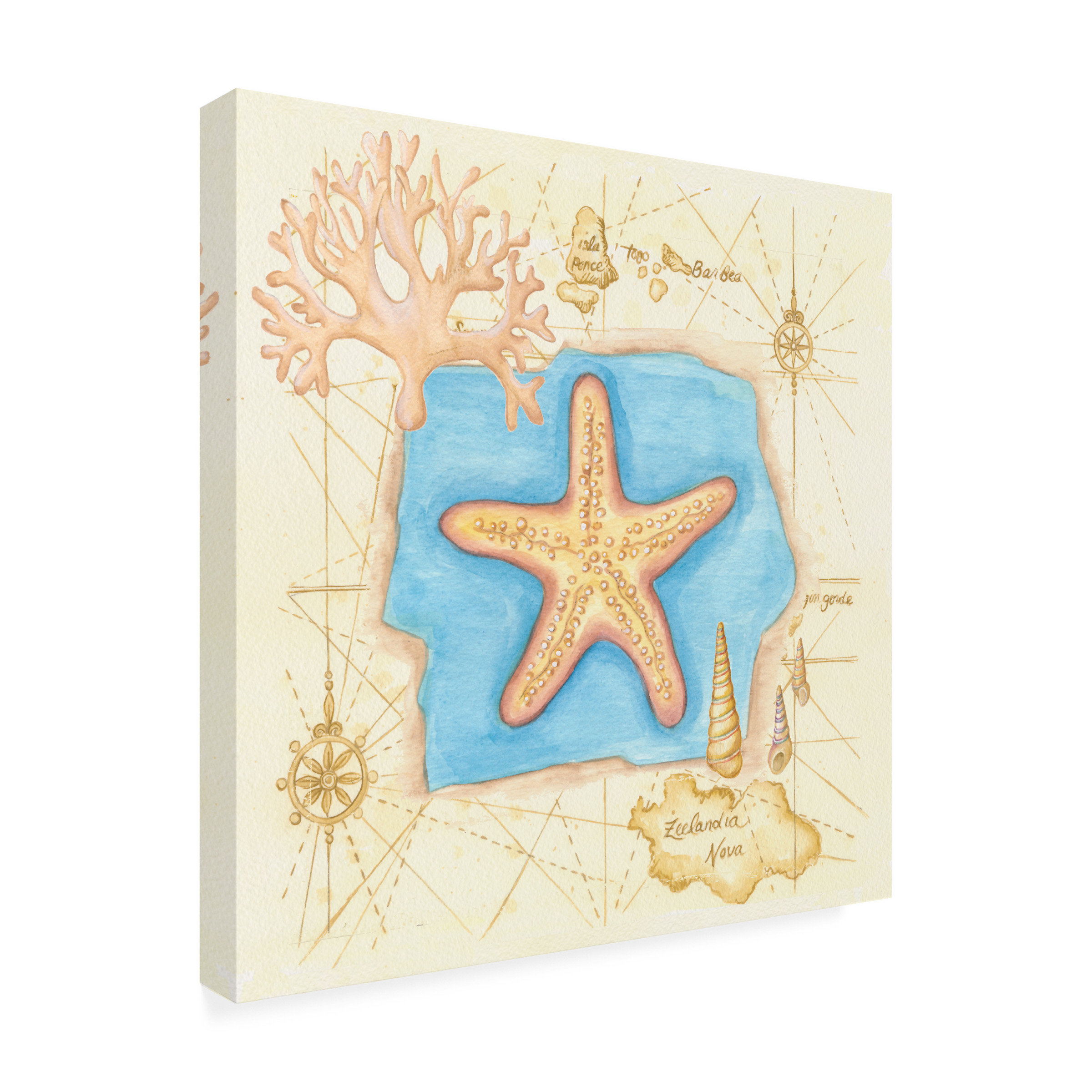 Highland Dunes Andrea Strongwater Star Fish W Map Canvas Art - Wayfair ...