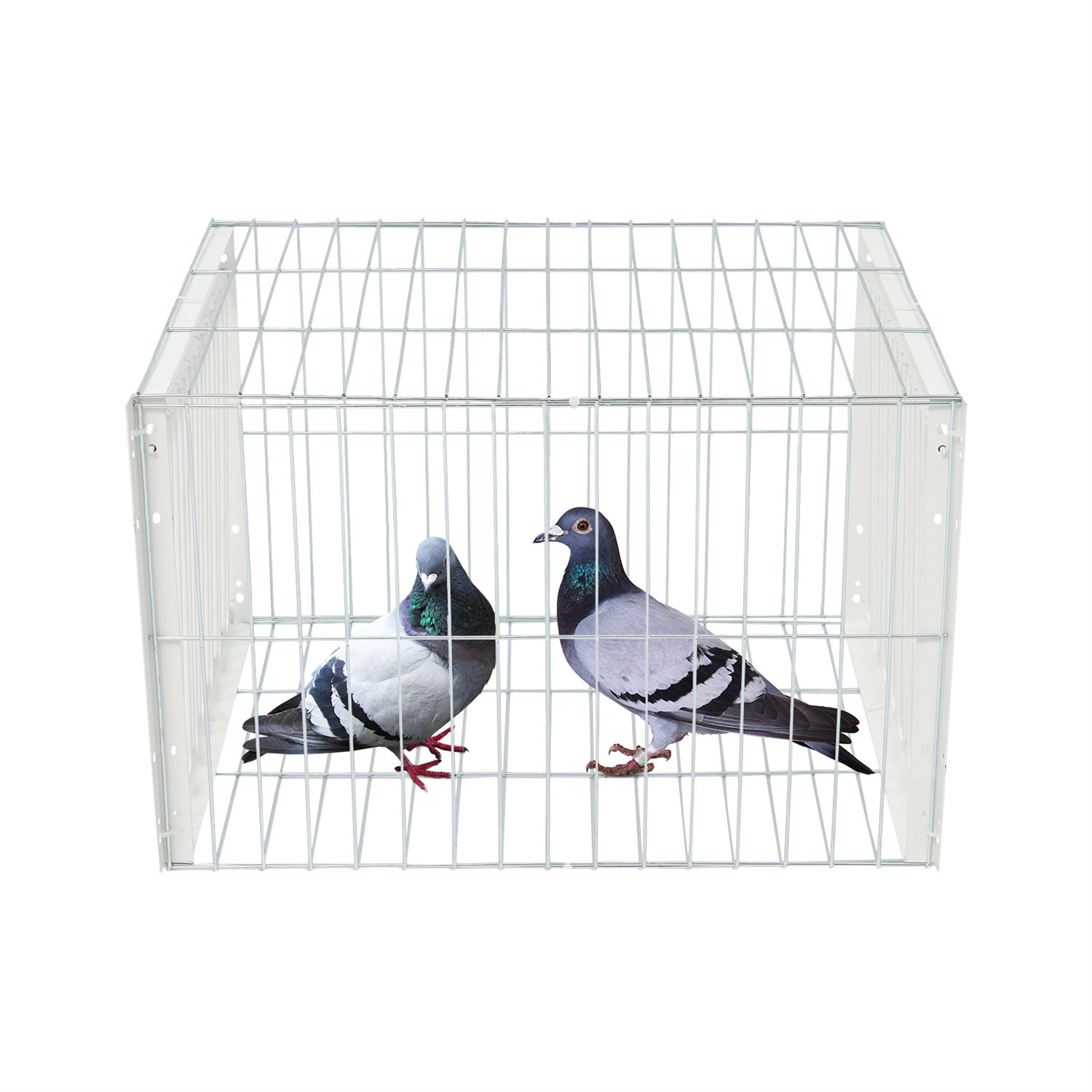 Tucker Murphy Pet™ Pigeon Cage With One-Way Entry | Wayfair