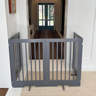 Cardinal Gates 4-Panel Freestanding Pet Gate | Wayfair