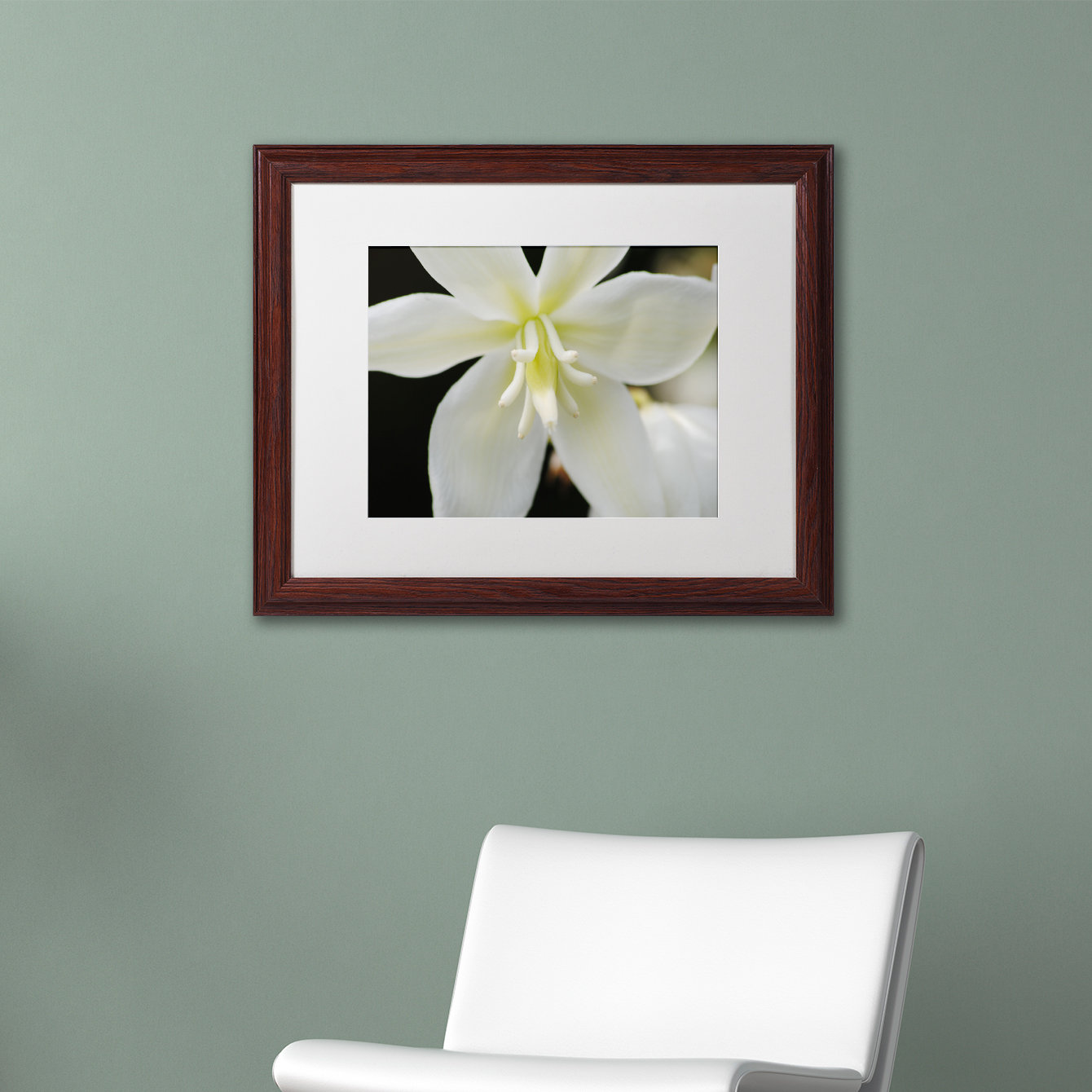 Ebern Designs Hope by Monica Mize - Picture Frame Photograph Print on ...