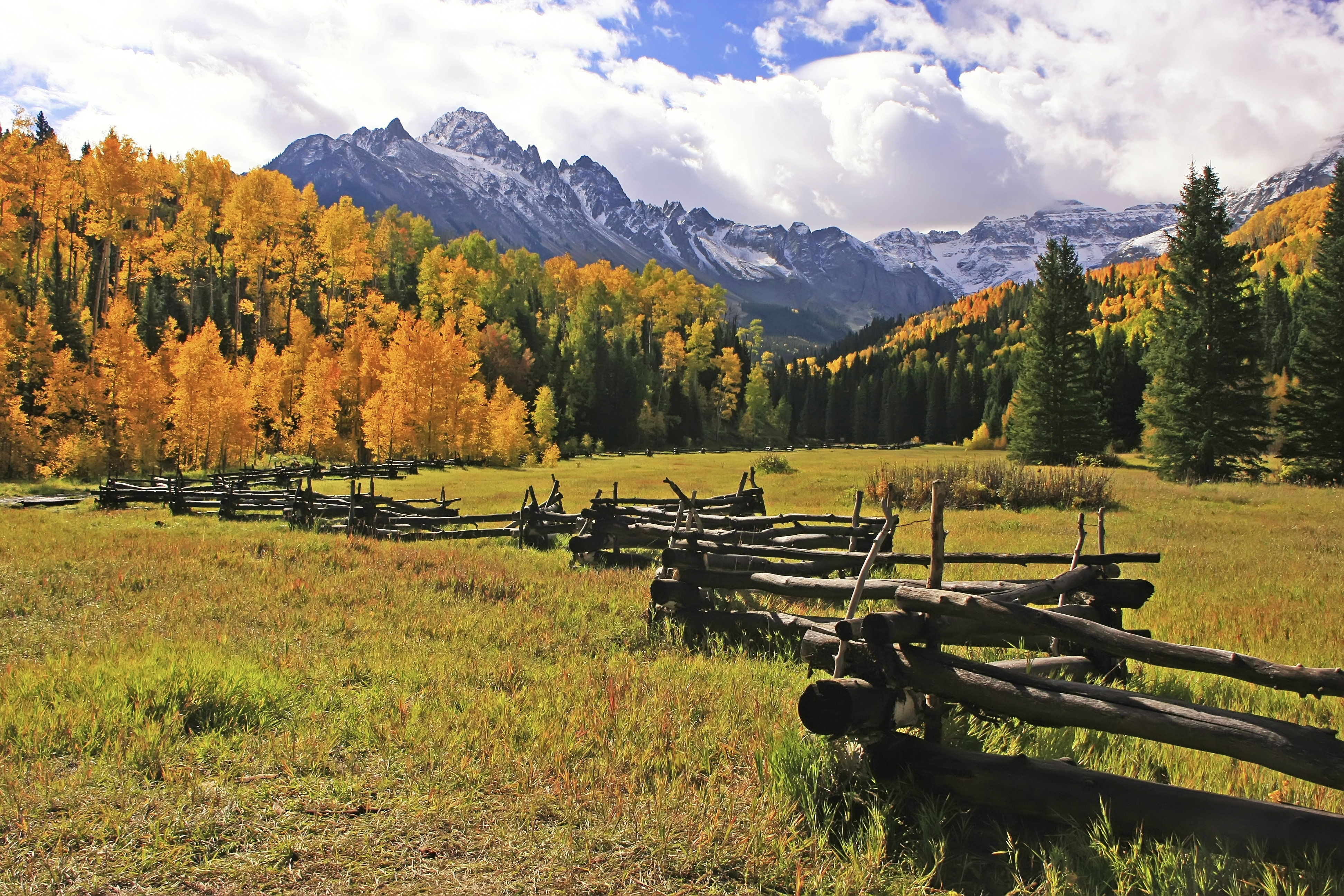 Millwood Pines Kentara Mount Sneffels Range, Colorado On Canvas ...