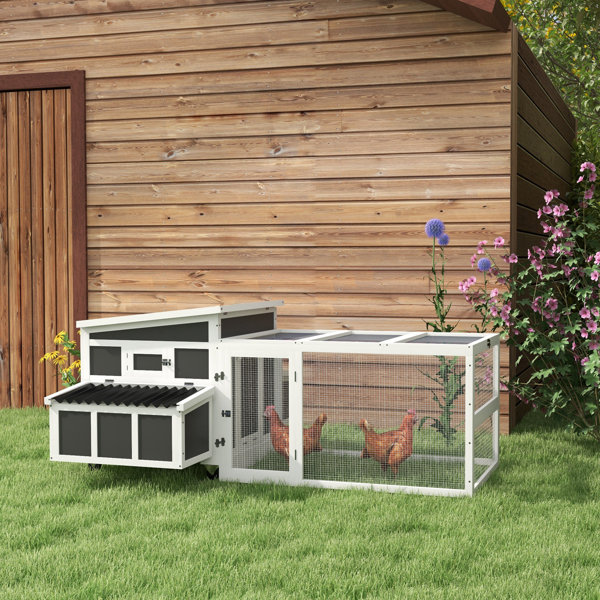 Tucker Murphy Pet™ Wooden Chicken Coop With Nesting Box, Outdoor ...