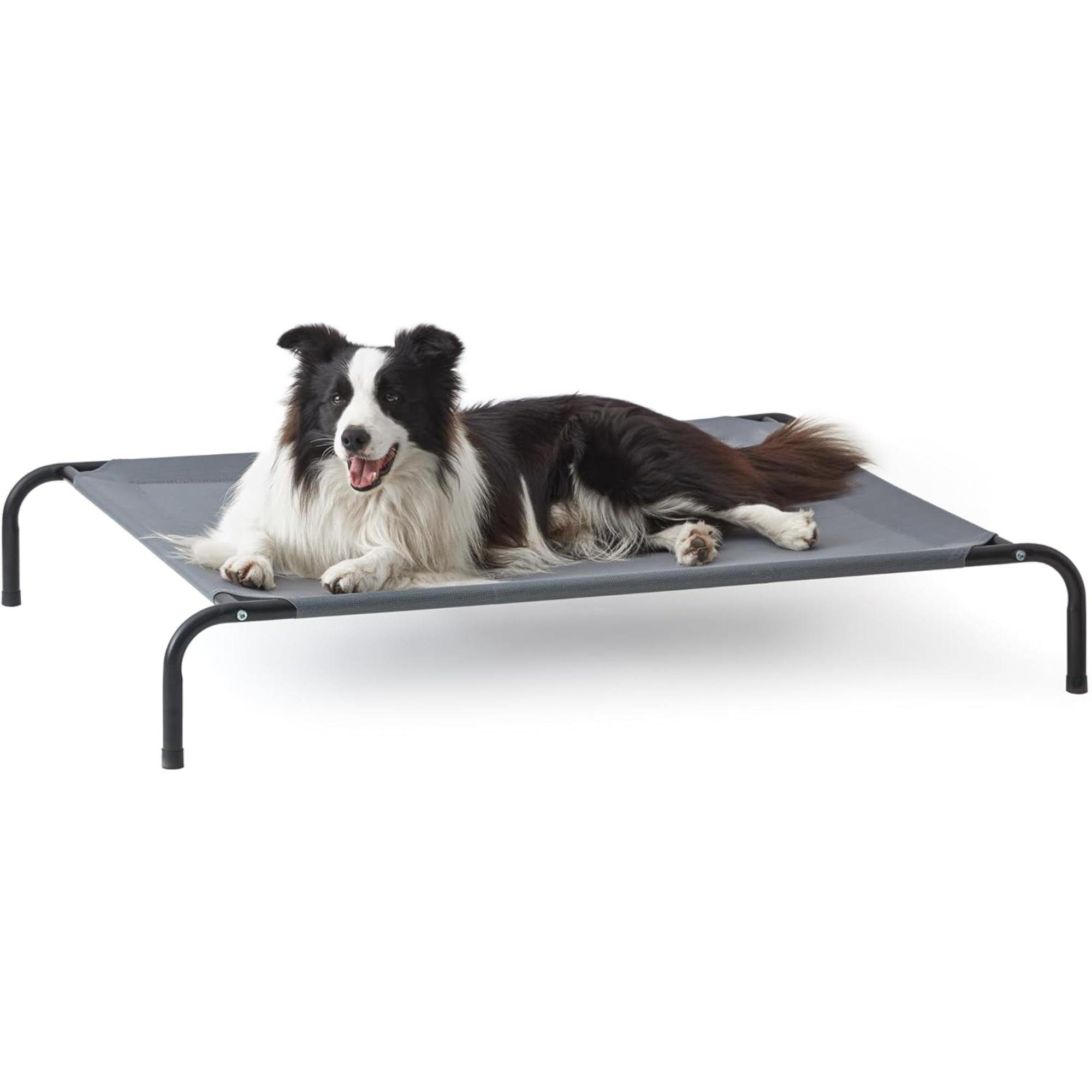 Tucker Murphy Pet™ Outdoor Elevated Dog Bed - 49In Cooling Pet Dog Beds ...