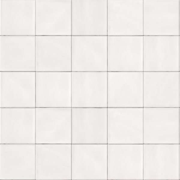 Tilefy Bliss 5X5 Ceramic Wall Tile | Wayfair