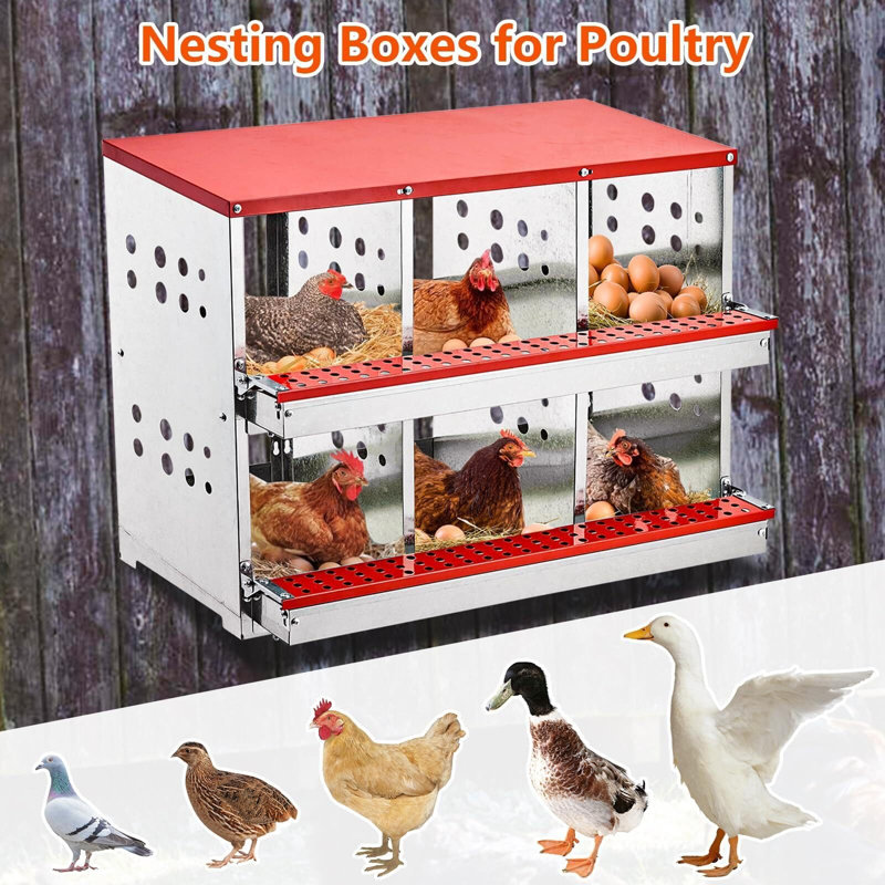 Archie & Oscar™ Stainless Steel Nesting Boxes For Chickens, 6 ...