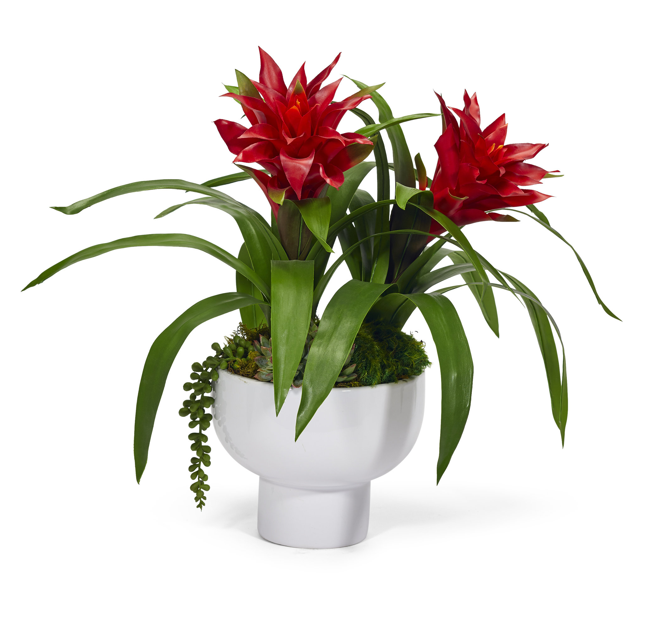T&C Floral Company Bromelaid Floral Arrangement in Pot & Reviews | Wayfair