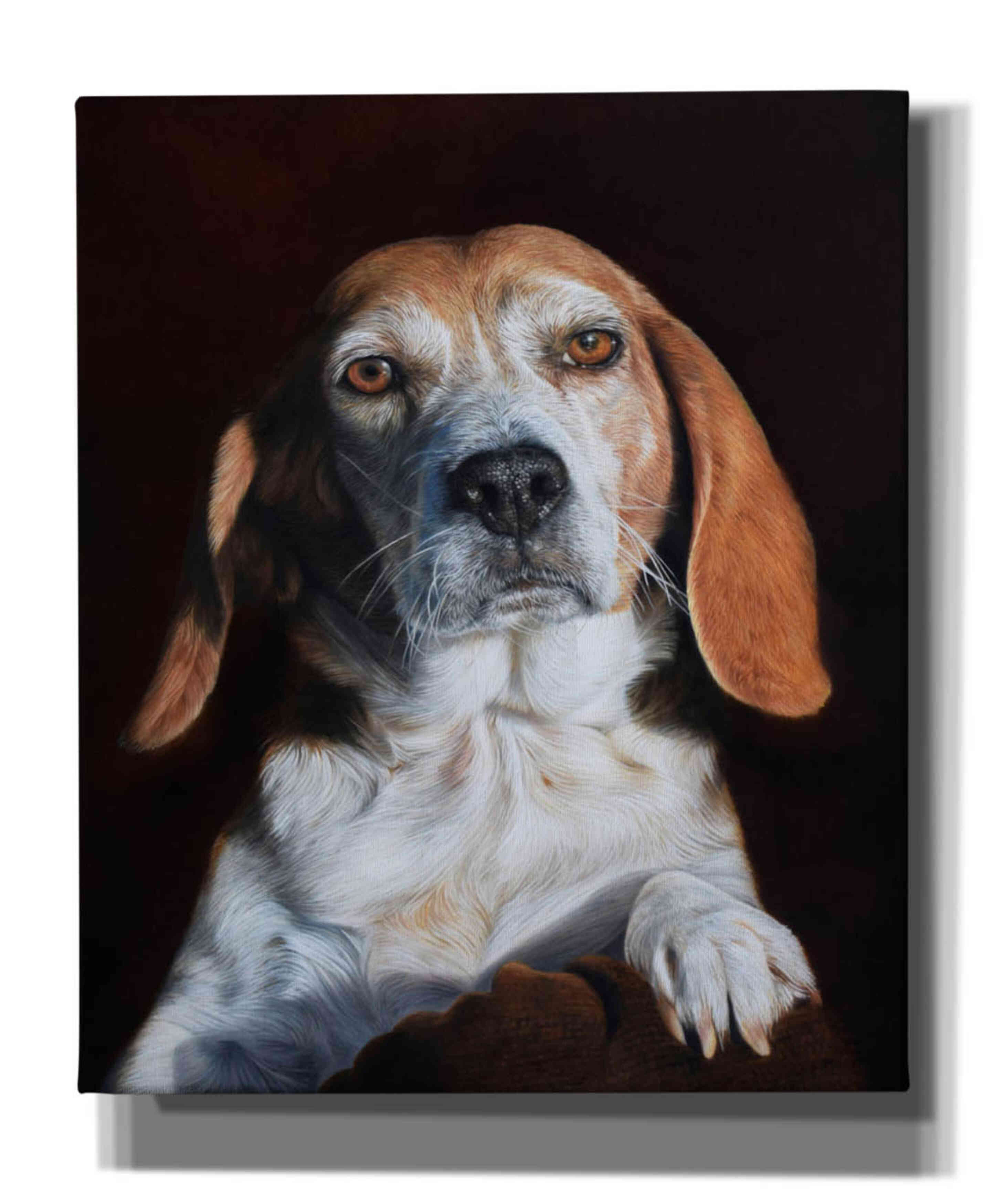 Red Barrel Studio® Maggie by Sam Dolman - Wrapped Canvas Photograph ...