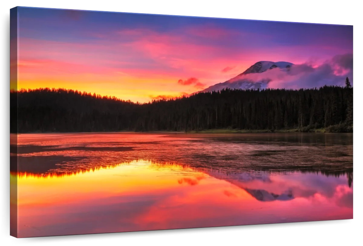 Elephant Stock Mount Rainier Sunset Glow | Wayfair