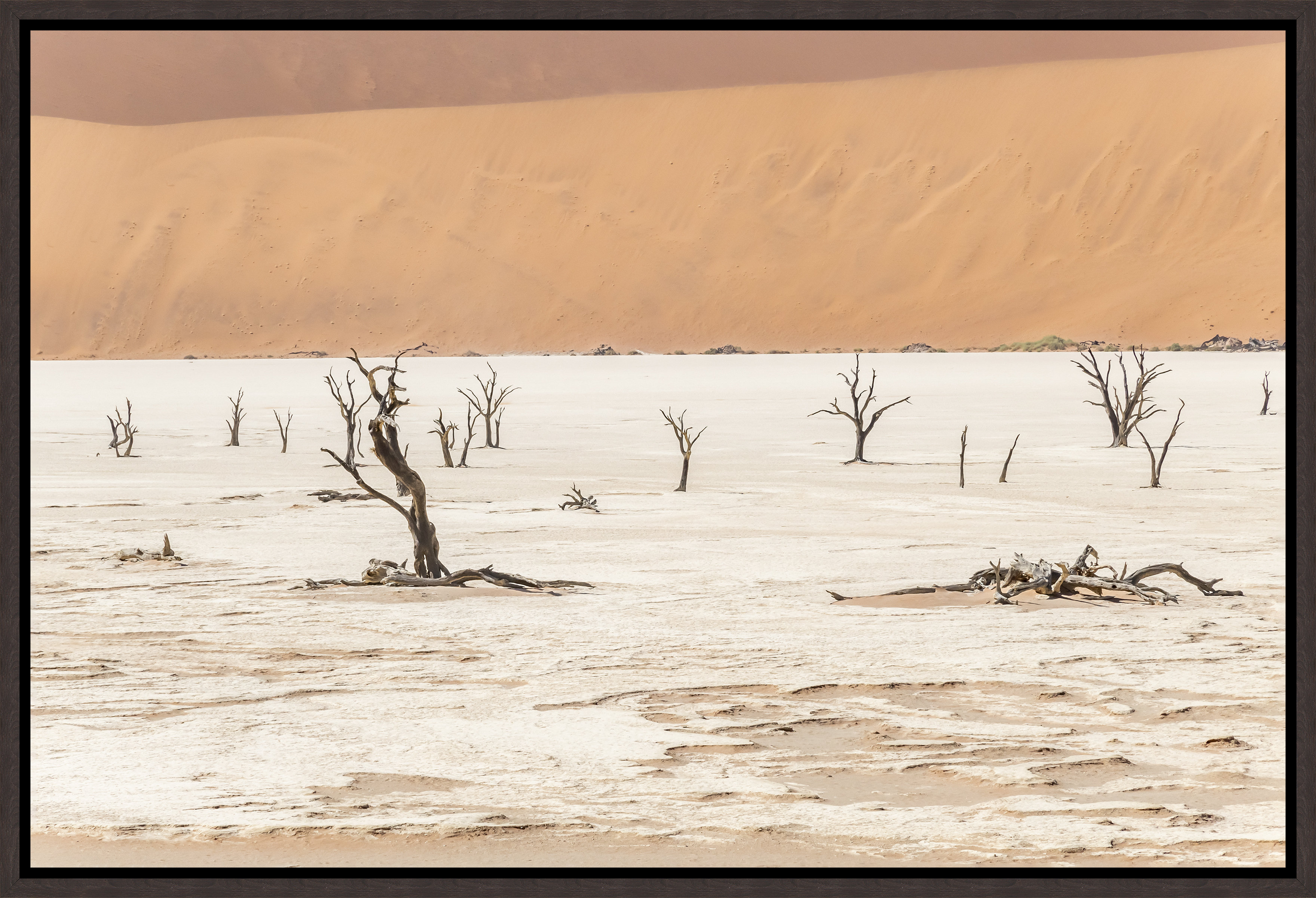 Chelsea Art Studio Namibian Skeleton Trees II by Richard Silver ...