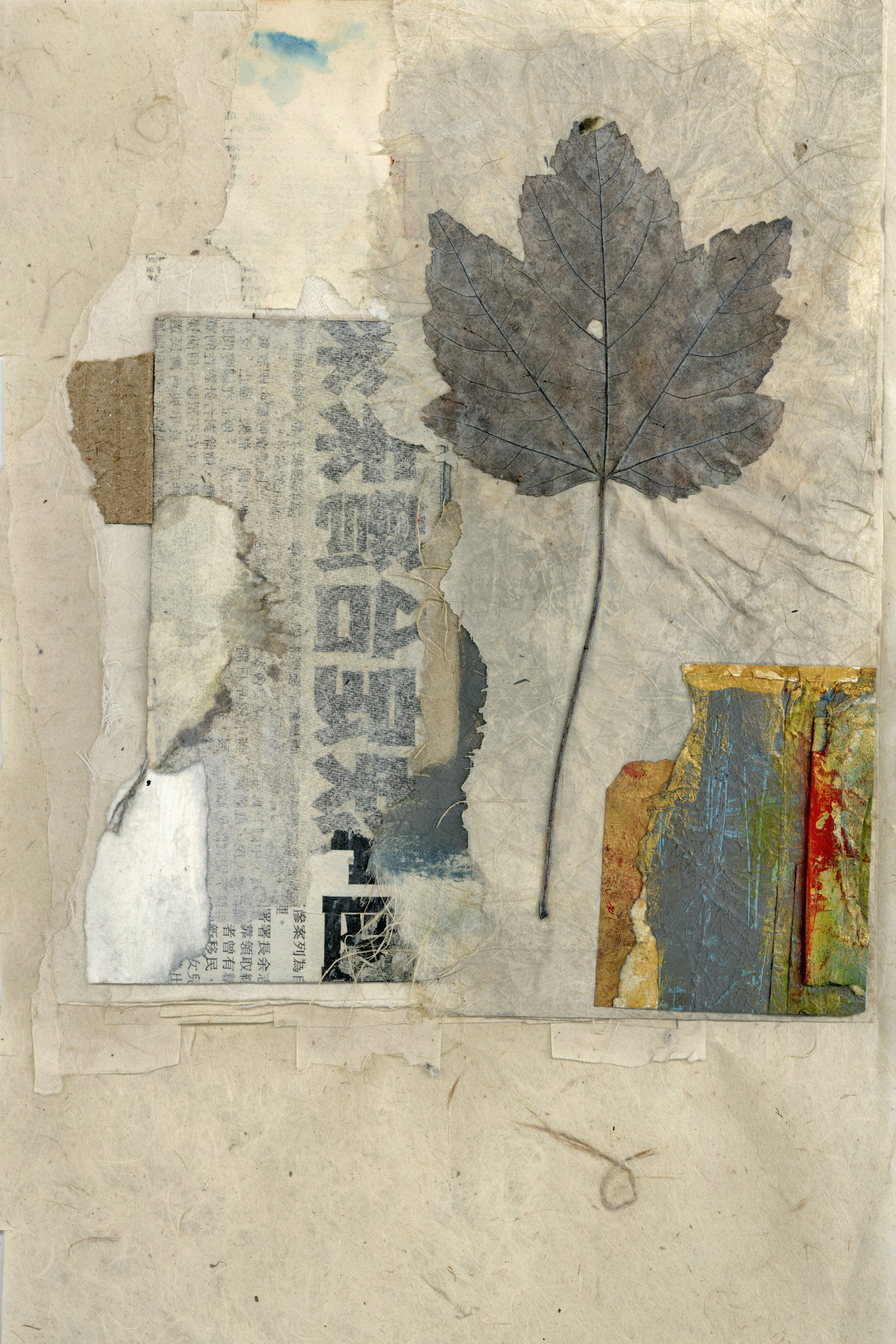 Rosalind Wheeler Natural Elements III by Elena Ray - Wrapped Canvas ...