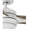 Birch Lane™ 44" Peppadew 3 - Blade LED Standard Ceiling Fan with Wall ...
