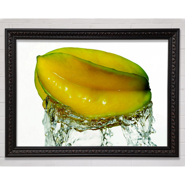 Bright Star Exotic Splash - Single Picture Frame Print | Wayfair.co.uk