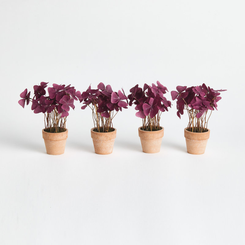 Wayfair.com - Online Home Store for Furniture, Decor, Outdoors & More