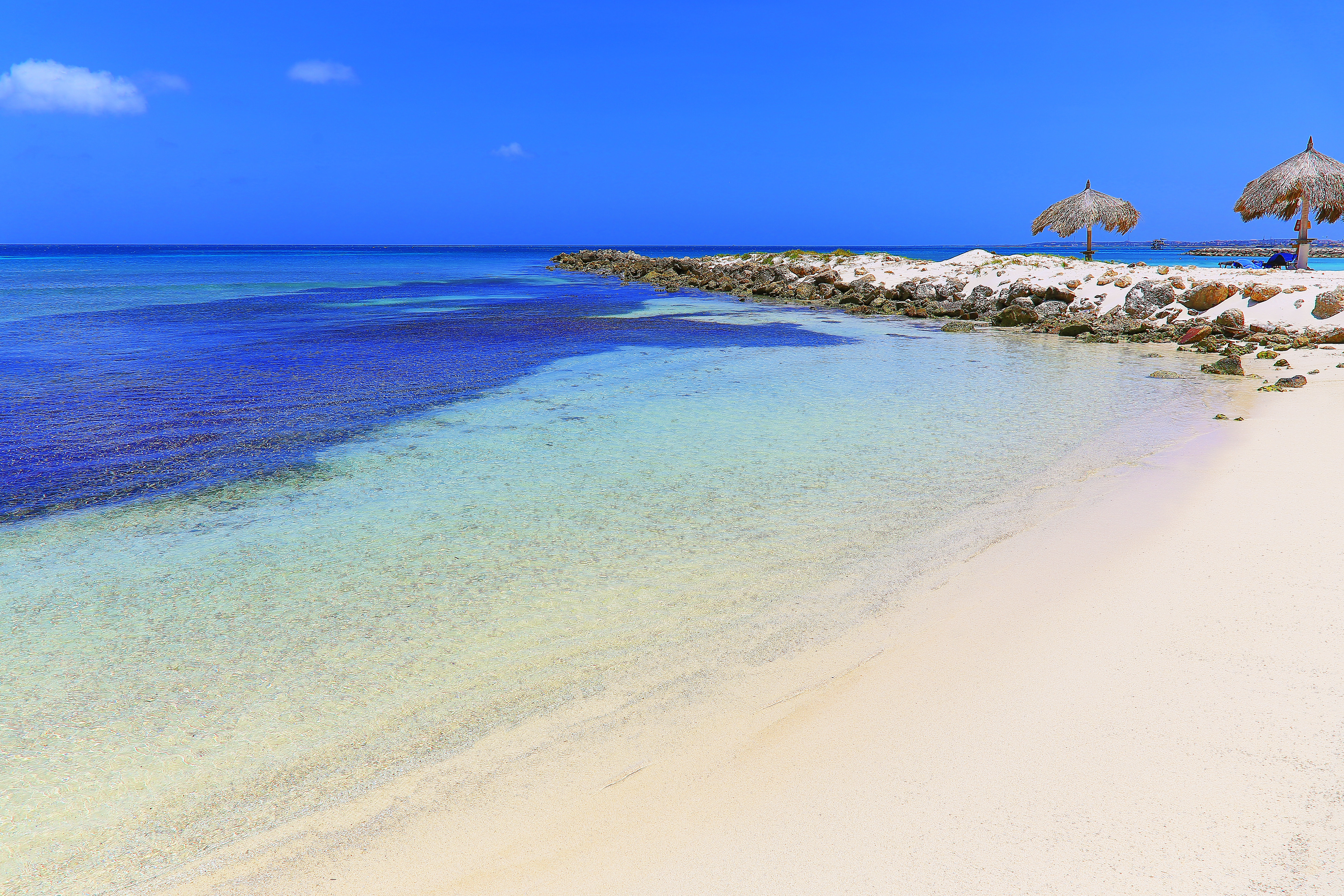 Highland Dunes Tropical Turquoise Beach by Agustavop | Wayfair