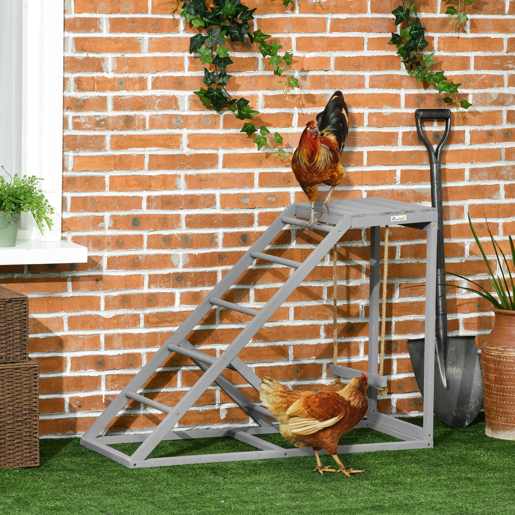 Tucker Murphy Pet™ Gray Chicken Entertainment Kit - With Perch And ...