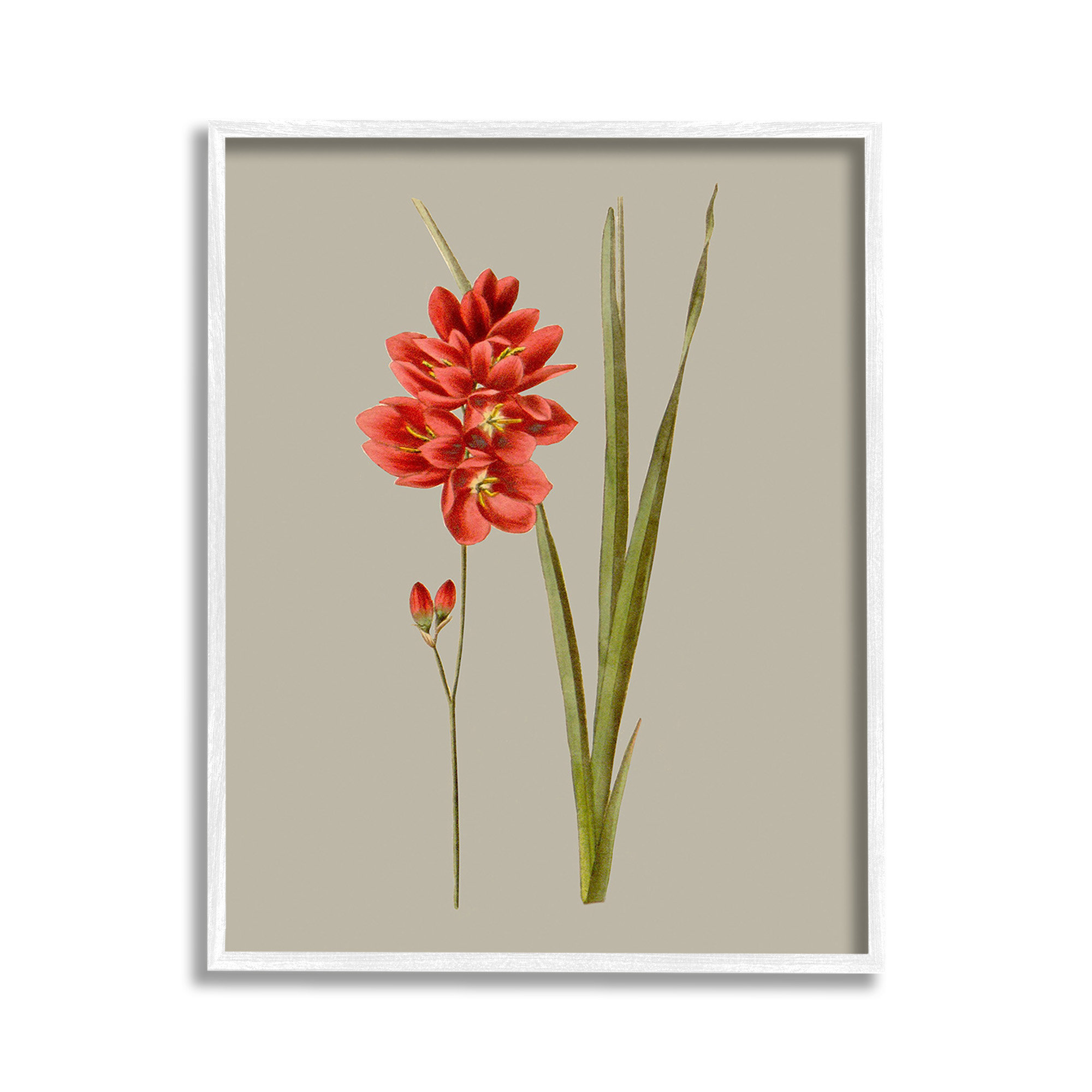 Winston Porter Traditional Botanical Giclee Art by Vision Studio | Wayfair