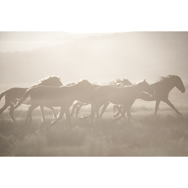 Natur Pur Wild Horses by St.MarieLtd. - Wrapped Canvas Print | Wayfair ...
