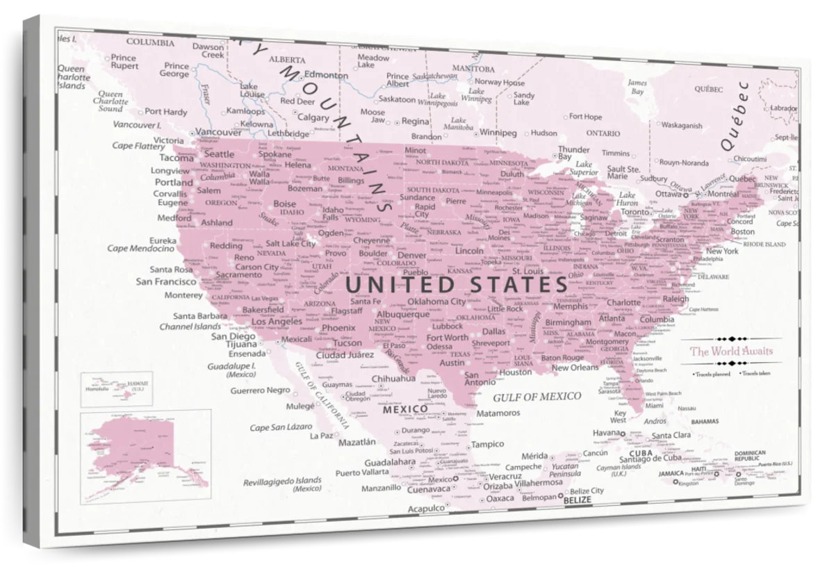 Breakwater Bay Baby Pink Push Pin USA Amrico - Wayfair Canada