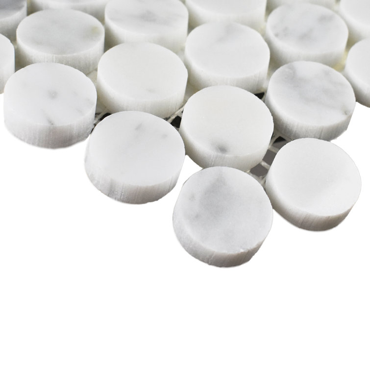 Roca Tiles Rockart 12" x 12" Penny Round Wall & Floor Tile | Wayfair