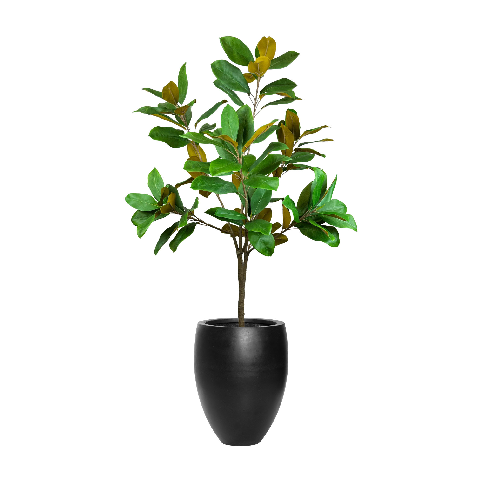 Primrue UV Rated 5' Magnolia Tree Drop-In with Fiberstone Planter | Wayfair
