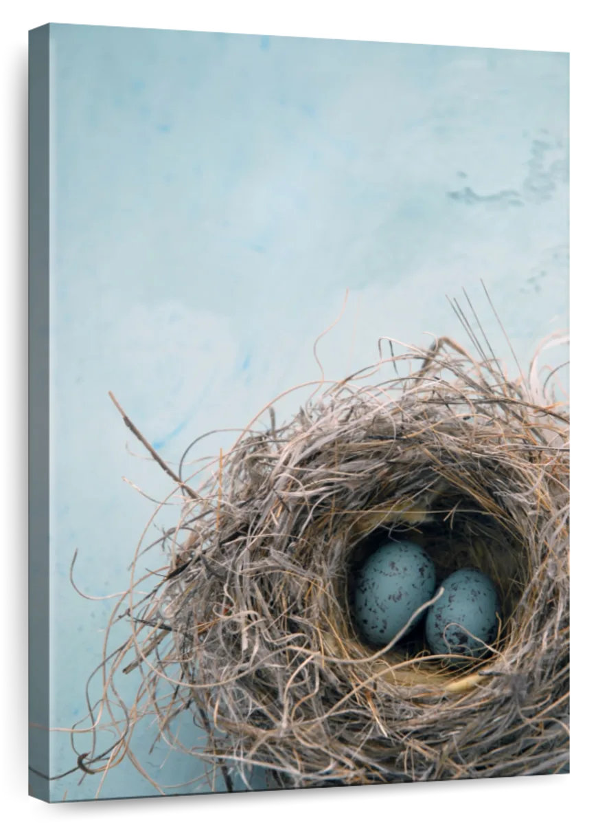 Ebern Designs Brampt Blue Egg Nest | Wayfair