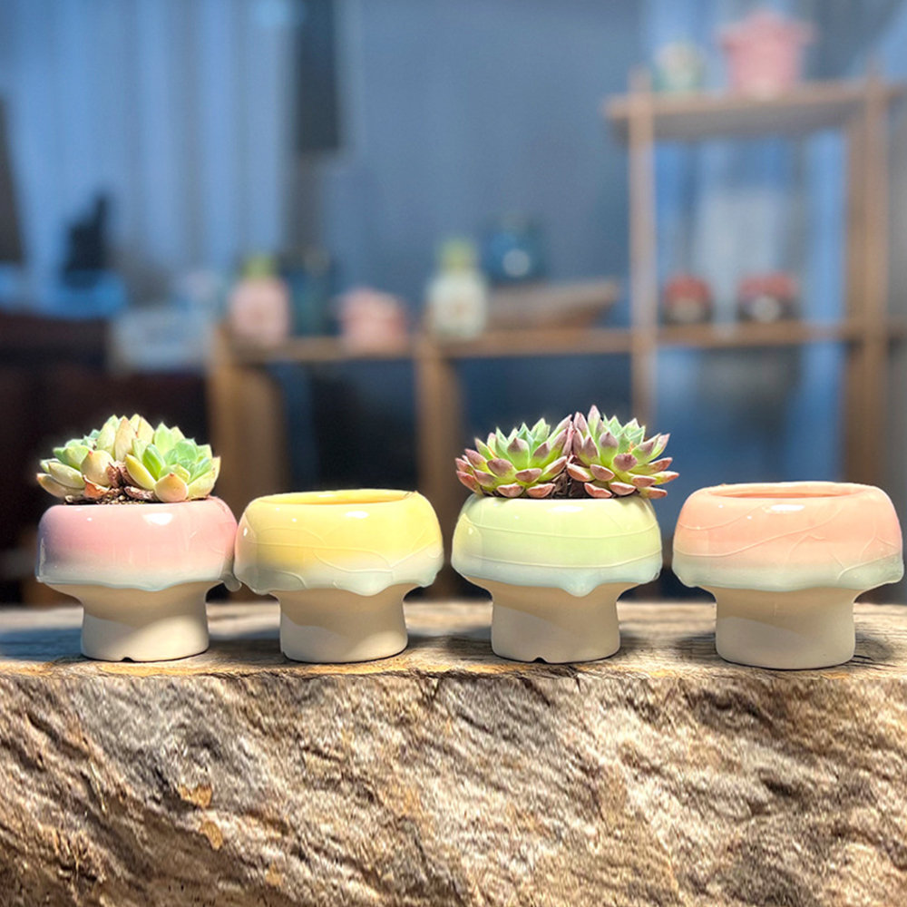 Winston Porter Pots For Plants With Drainage Holes - Wayfair Canada