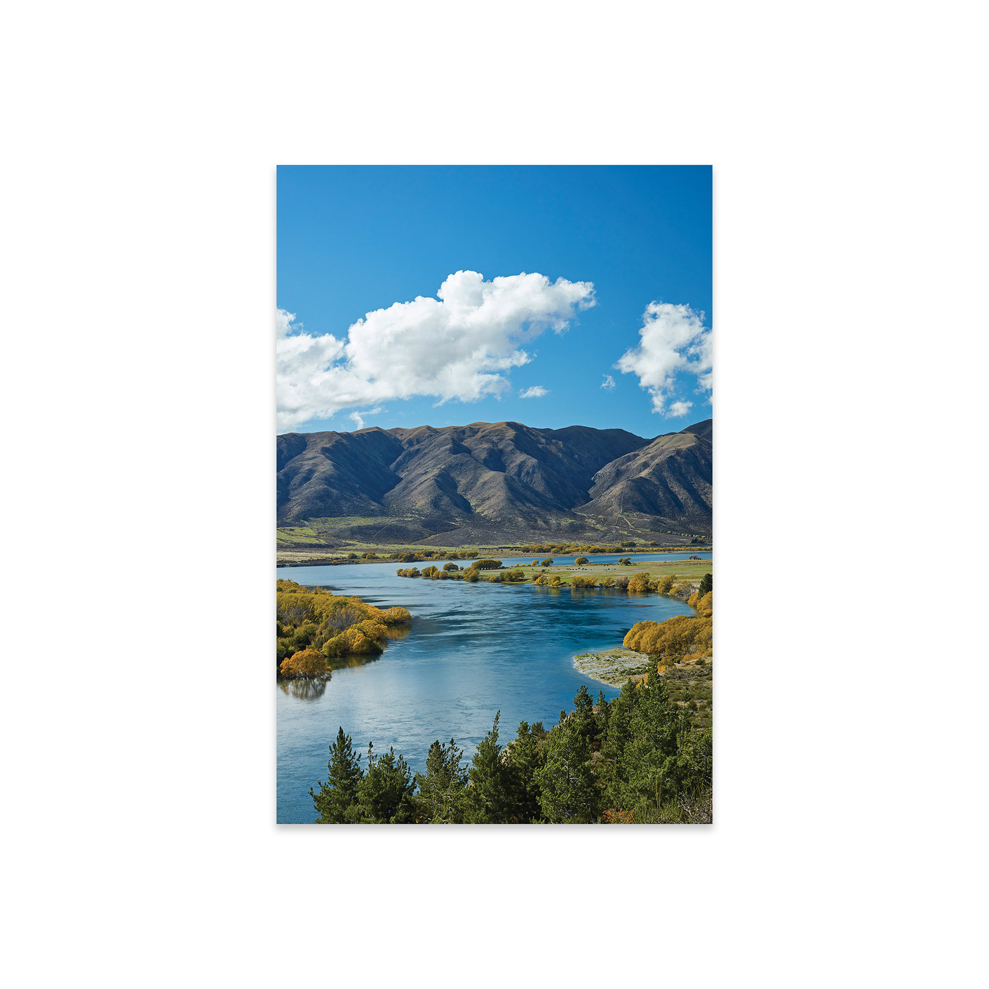 Millwood Pines Fisherman's Bend, Waitaki Valley, North Otago, South ...