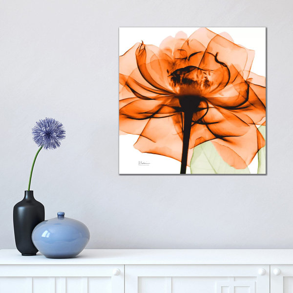 Rosalind Wheeler Orange Rose by Albert Koetsier - Wrapped Canvas ...