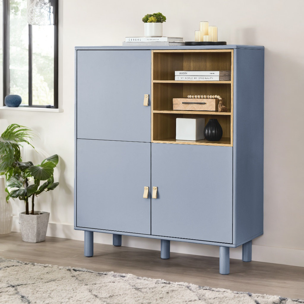 Latitude Run® Storage Cabinet With Door, Multifunctional Storage ...