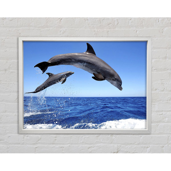 Bright Star Common Bottlenose Dolphins - Single Picture Frame Print on ...
