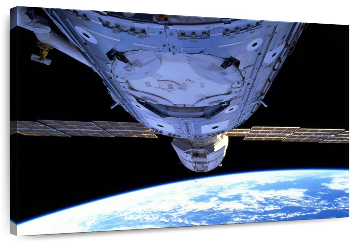 Elephant Stock International Space Station View | Wayfair