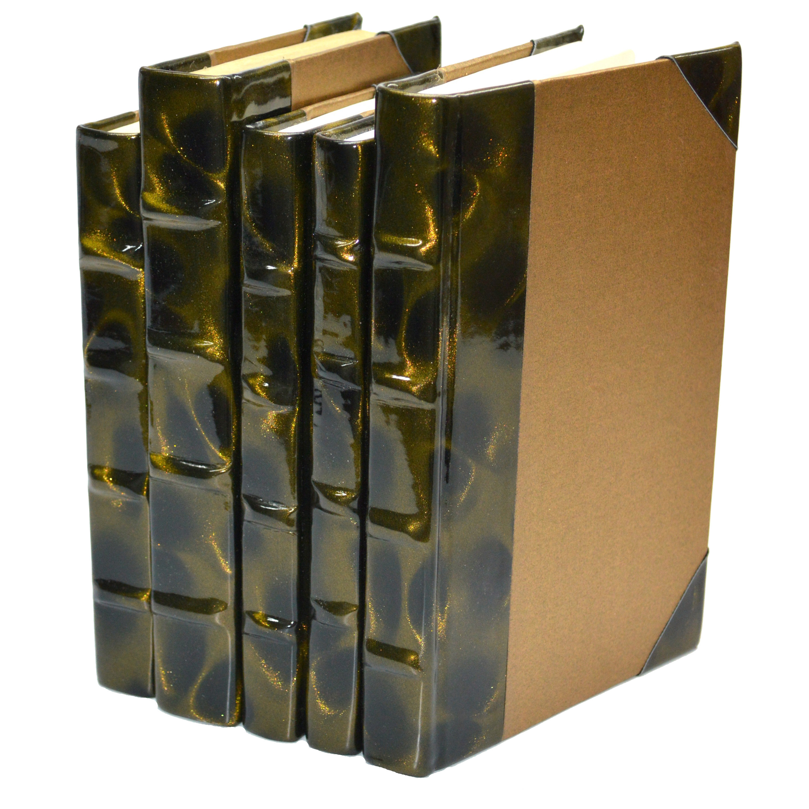 Leather Books 5 Piece Prismatic Patent Decorative Book Set - Wayfair Canada