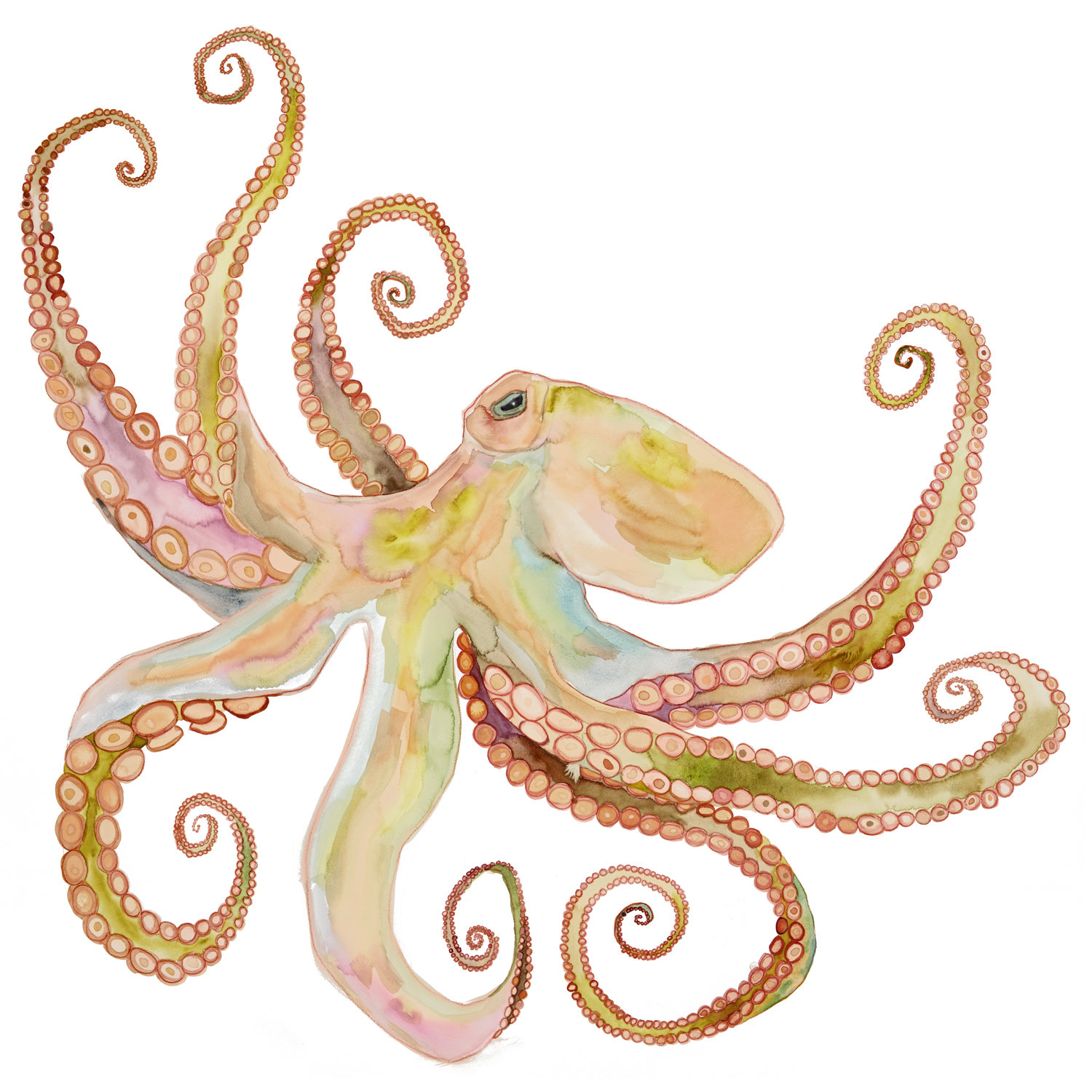 Harriet Bee 'Solo Octopus' - Painting Print - Wayfair Canada