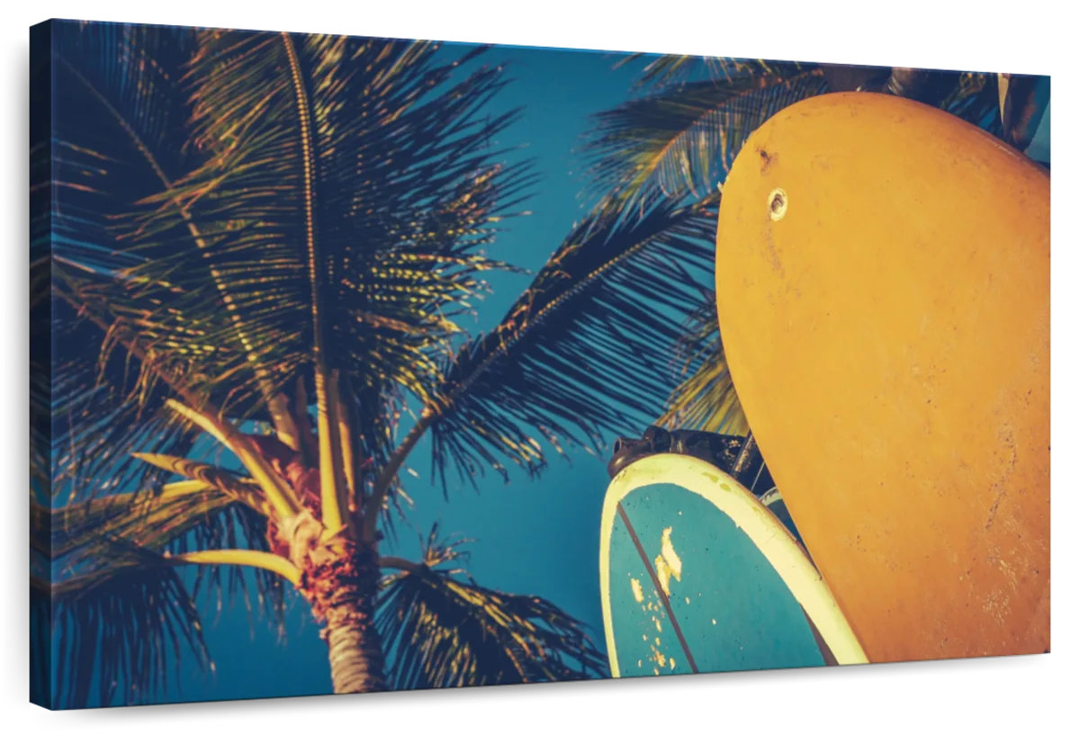 Ebern Designs Senne Surfboard Summer Break | Wayfair