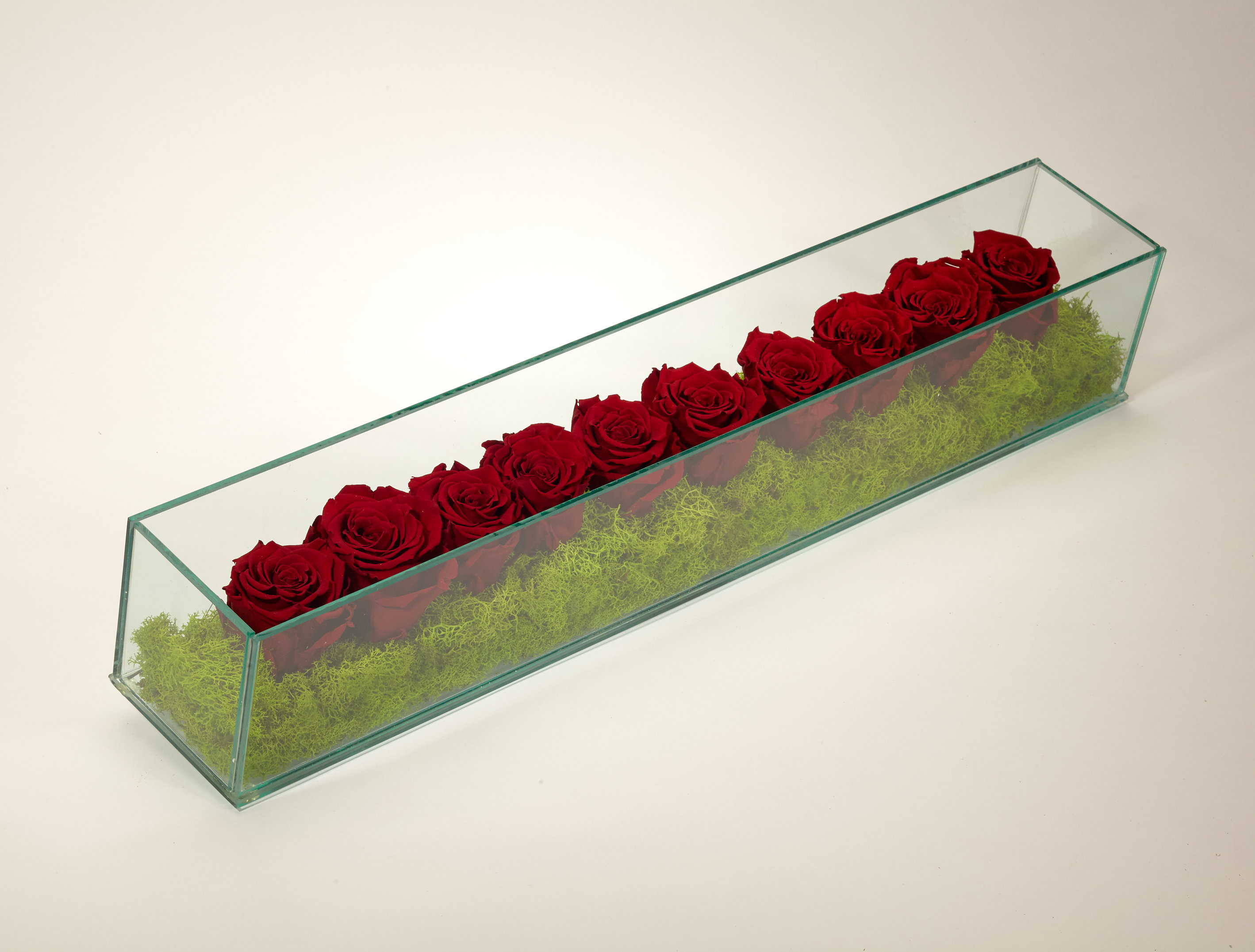 T&C Floral Company Preserved Roses Arrangement in Planter & Reviews ...