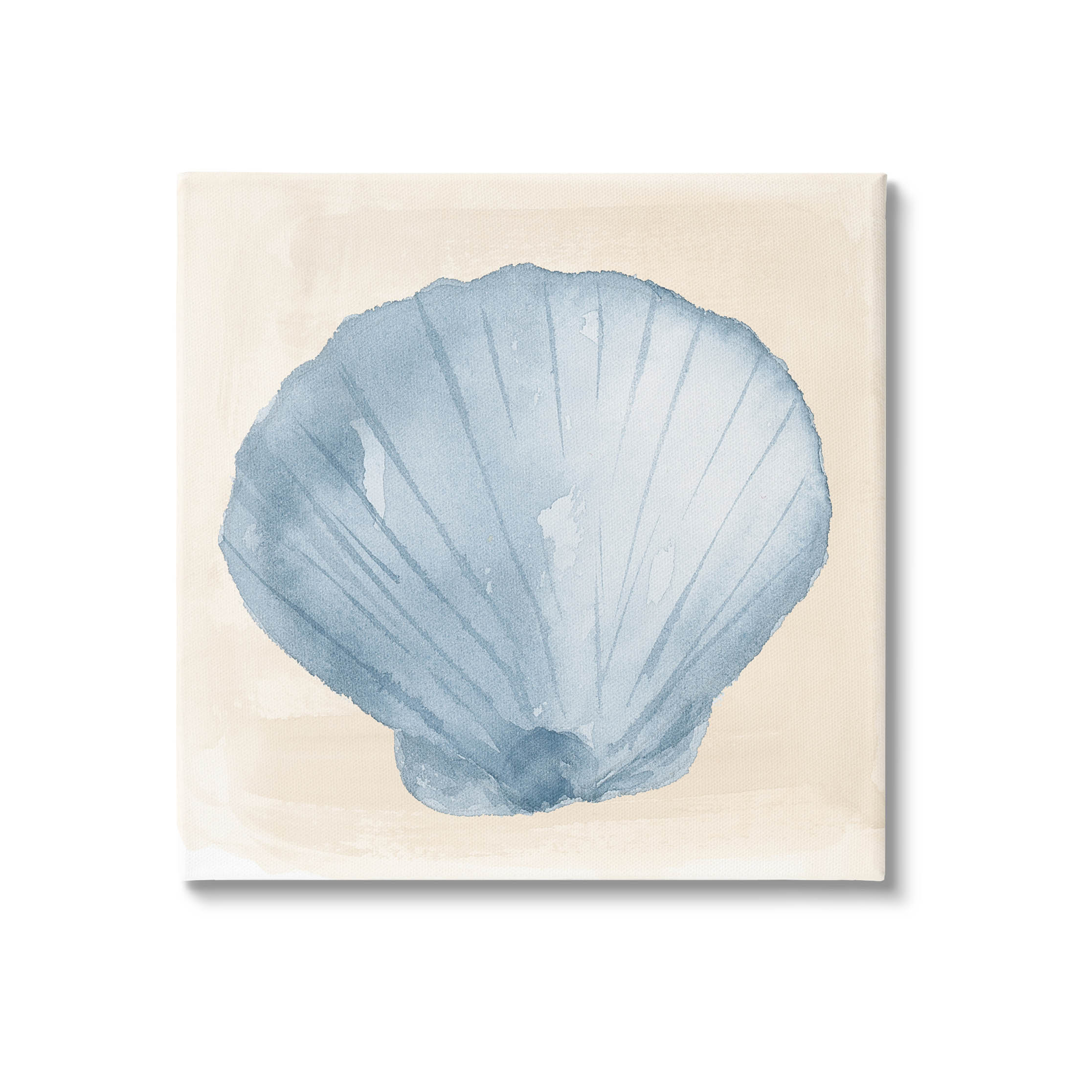 Stupell Industries Sea Life Clamshell Composition Canvas Wall Art By ...