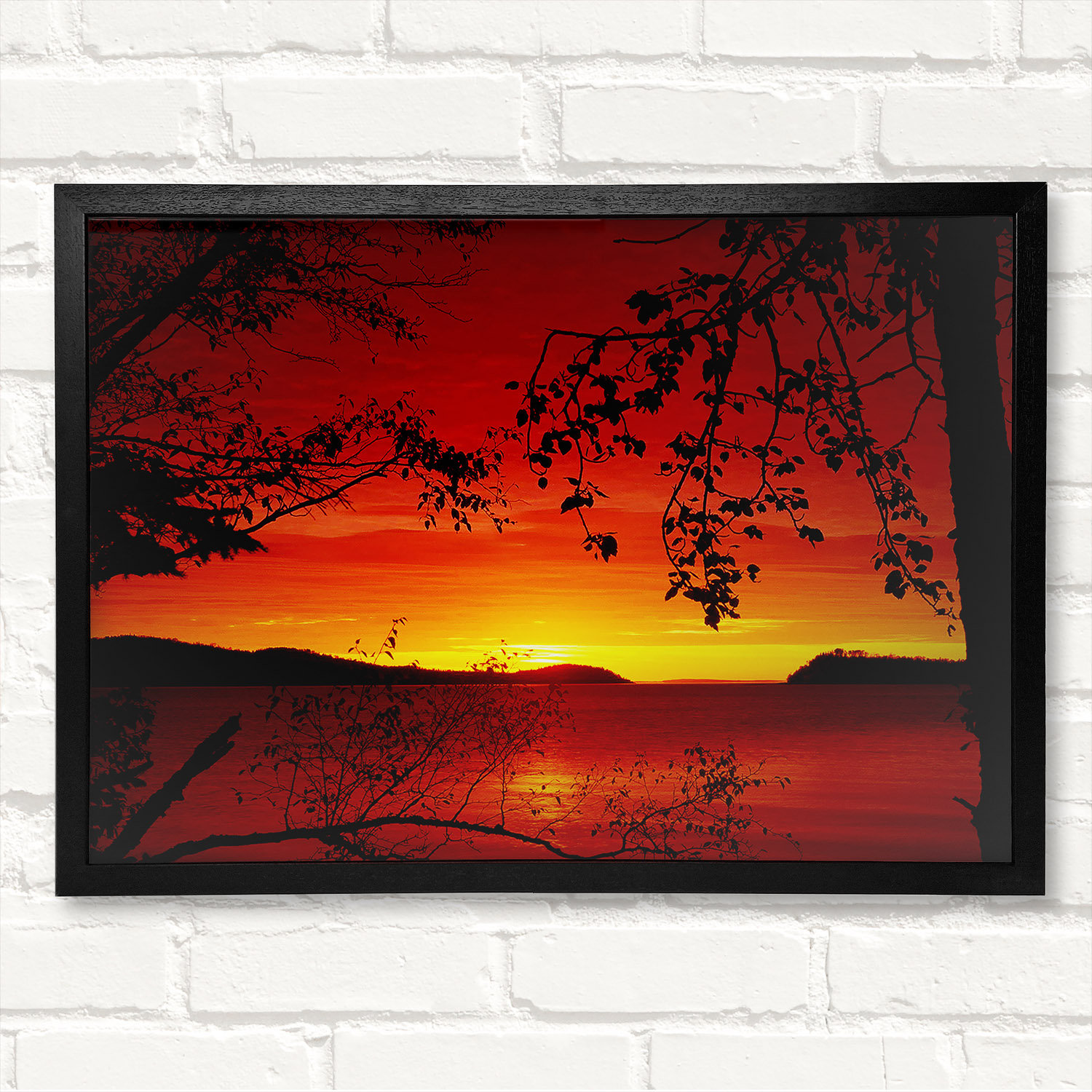 Ebern Designs Red River Through The Trees Framed Print | Wayfair.co.uk