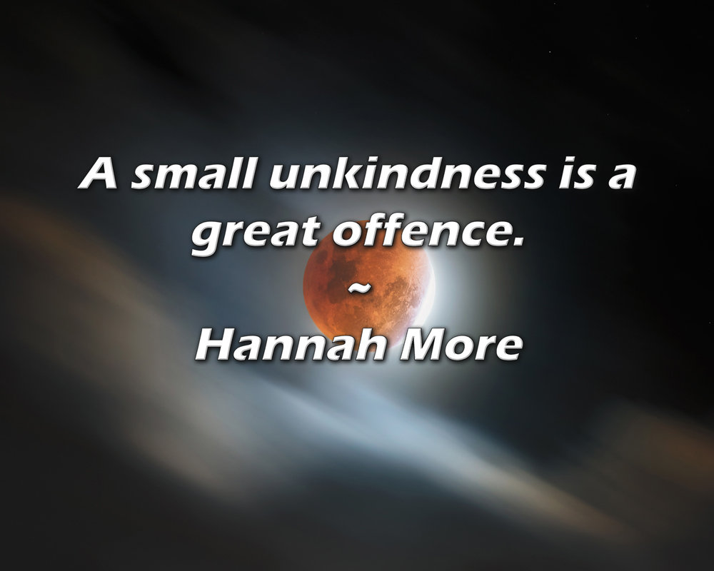 Latitude Run® Hannah More Quote: A small unkindness is a great offence ...