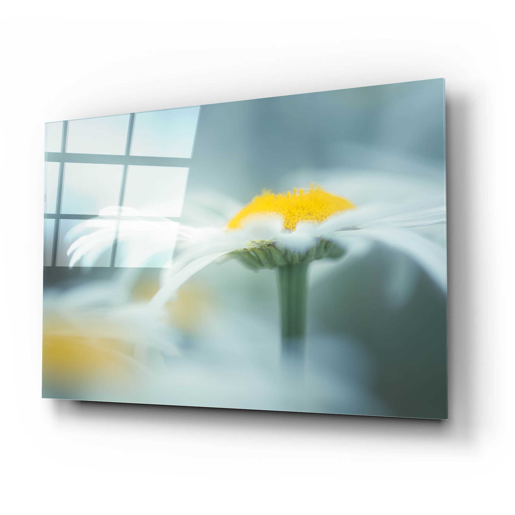 Latitude Run® 'Summer Morning' By Don Schwartz, Acrylic Glass Wall Art ...