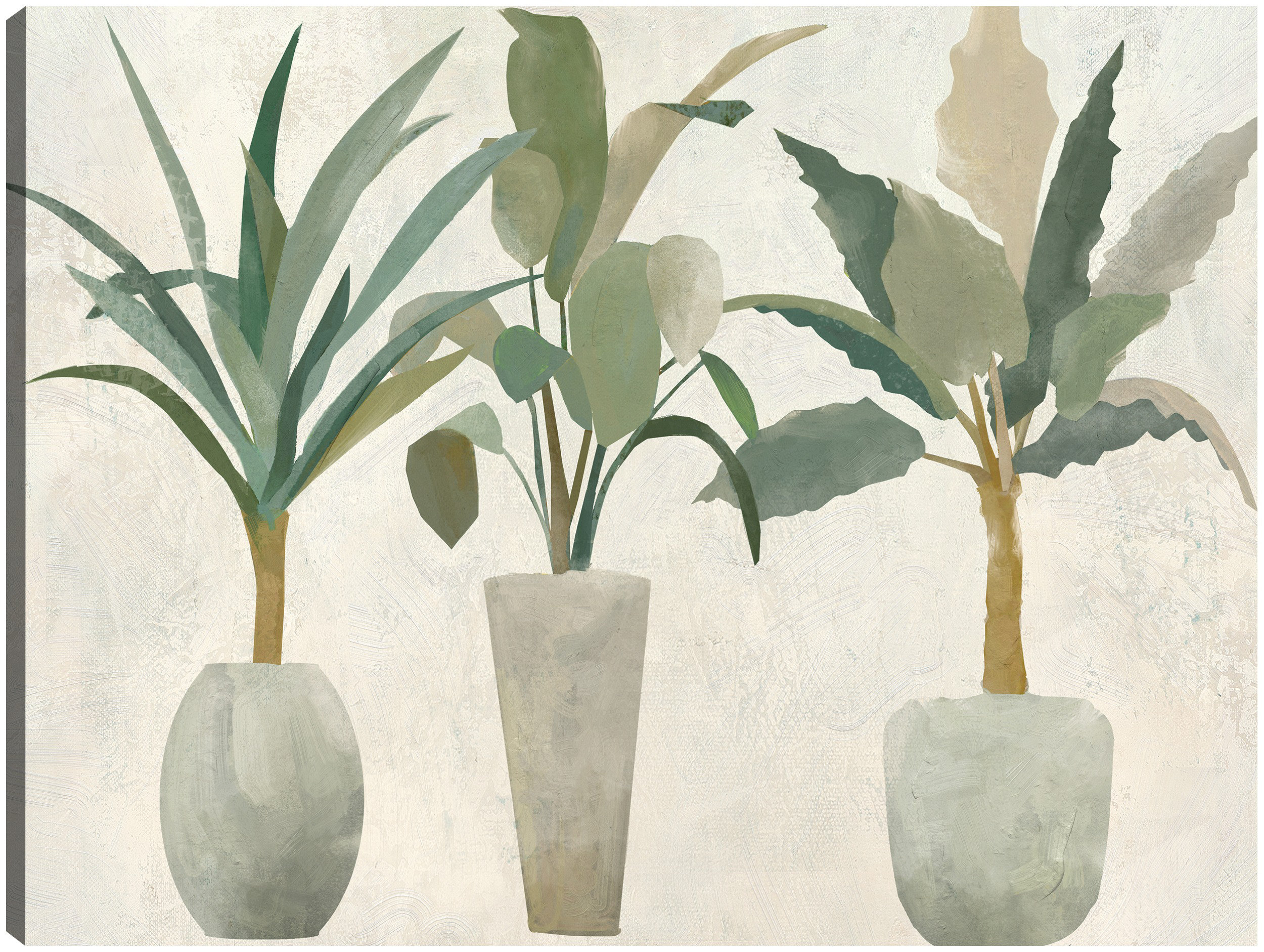 Winston Porter Greenery Trio by Studio Arts Canvas Art Print | Wayfair