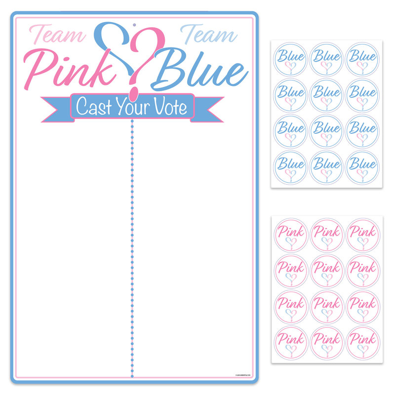 The Party Aisle™ Gender Reveal Tally Board & Stickers | Wayfair