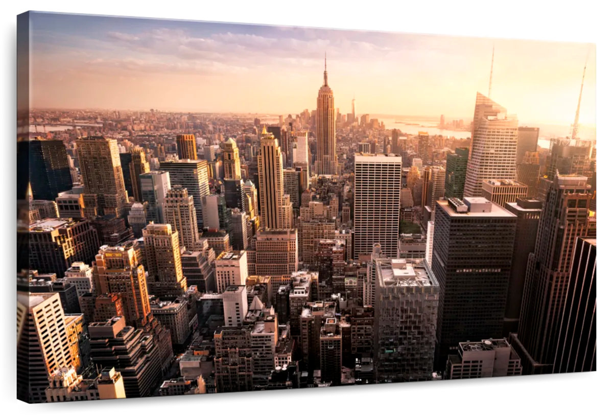 Elephant Stock NY City Buildings | Wayfair